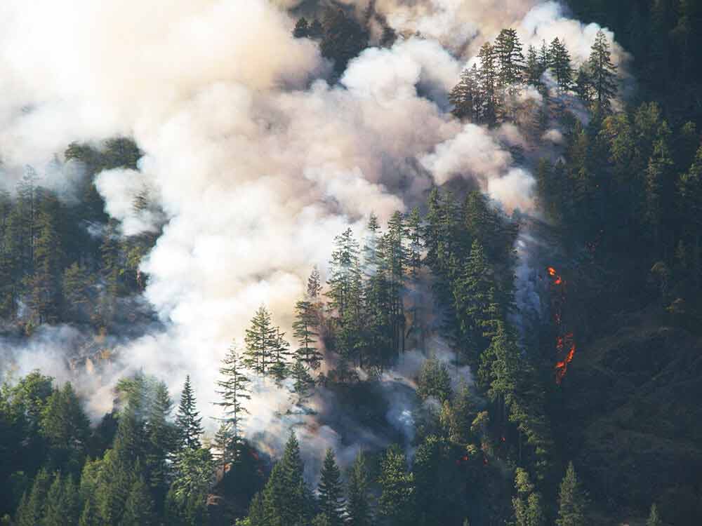 4 Tips For Notaries Dealing With Natural Disasters | NNA